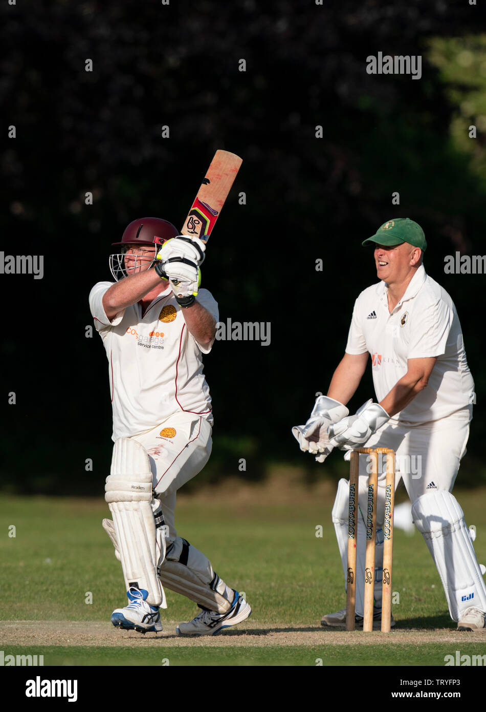 Batsman in action Stock Photo - Alamy