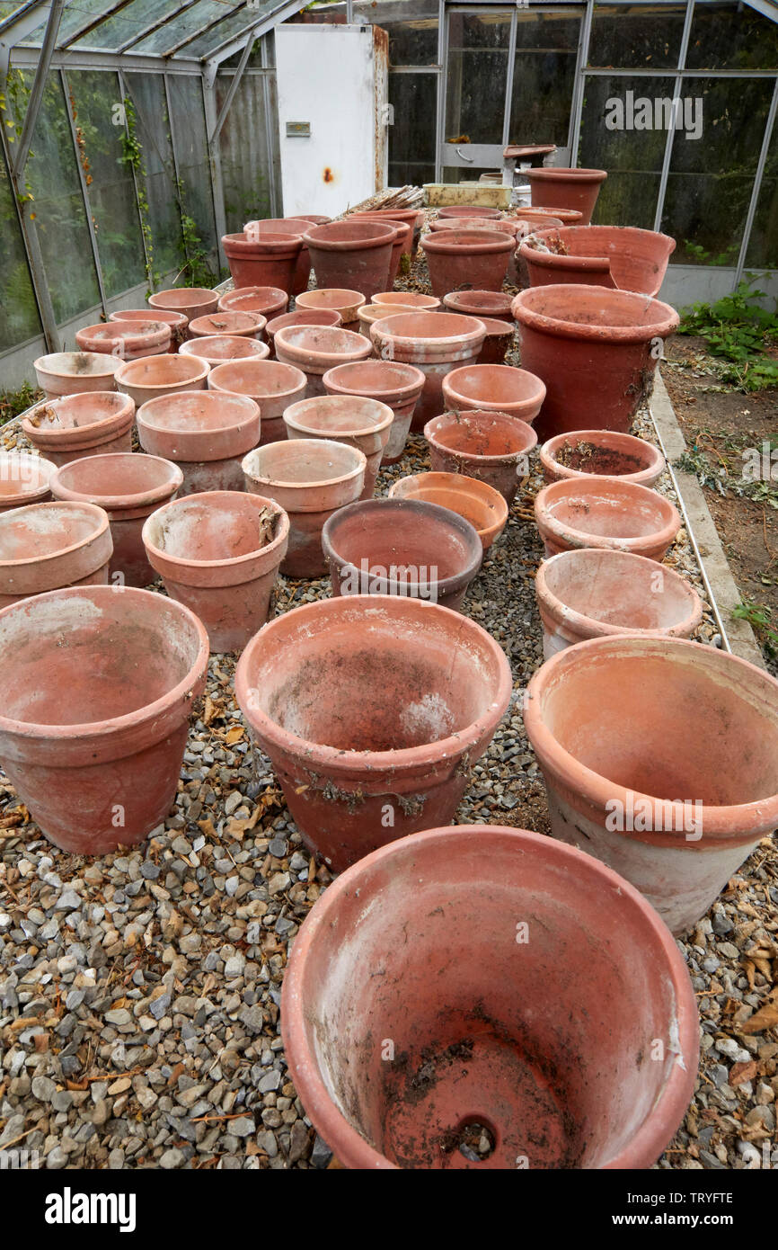 Collecting flower pots ready for springtime planting on amateur ...