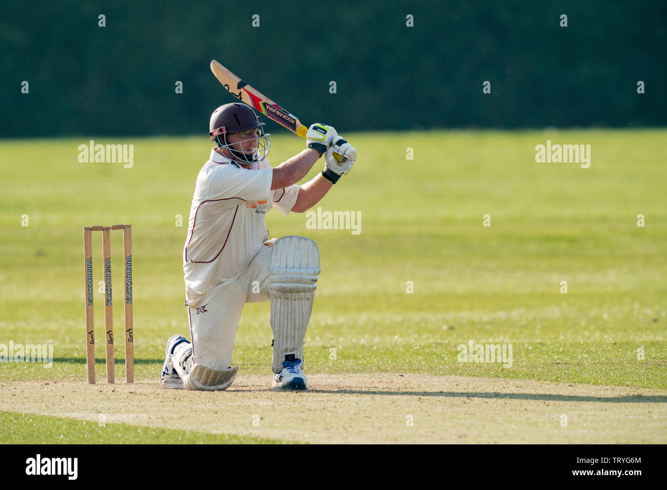 Cricket batsman face on hi-res stock photography and images - Alamy