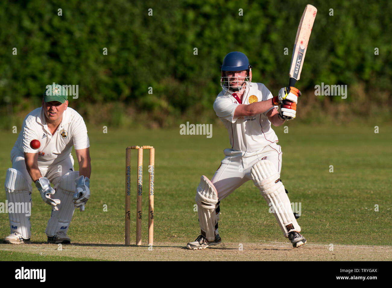 Batsman in action Stock Photo - Alamy