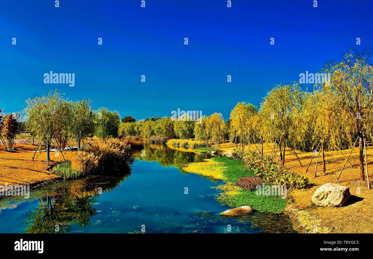 Scenery of Chenshan Botanical Garden in Shanghai Stock Photo - Alamy