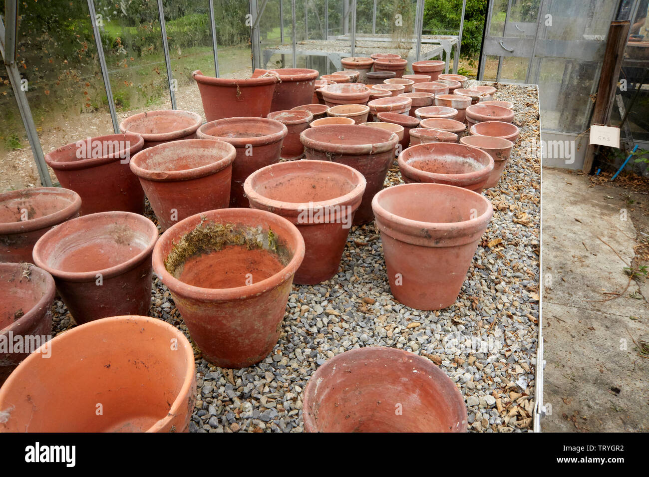 Collecting flower pots ready for springtime planting on amateur ...