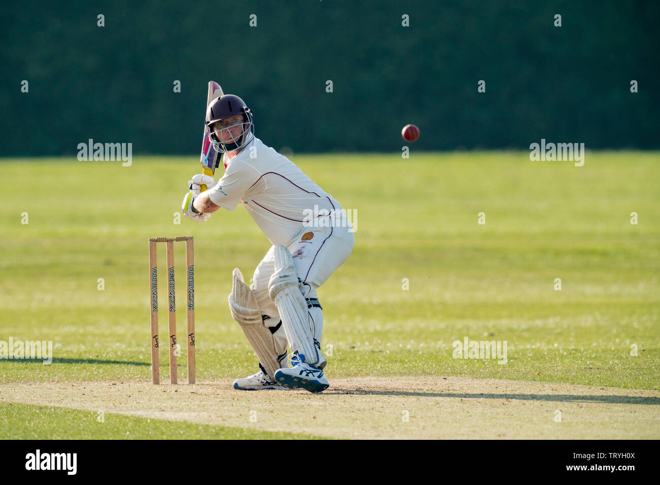 Batsman in action Stock Photo - Alamy