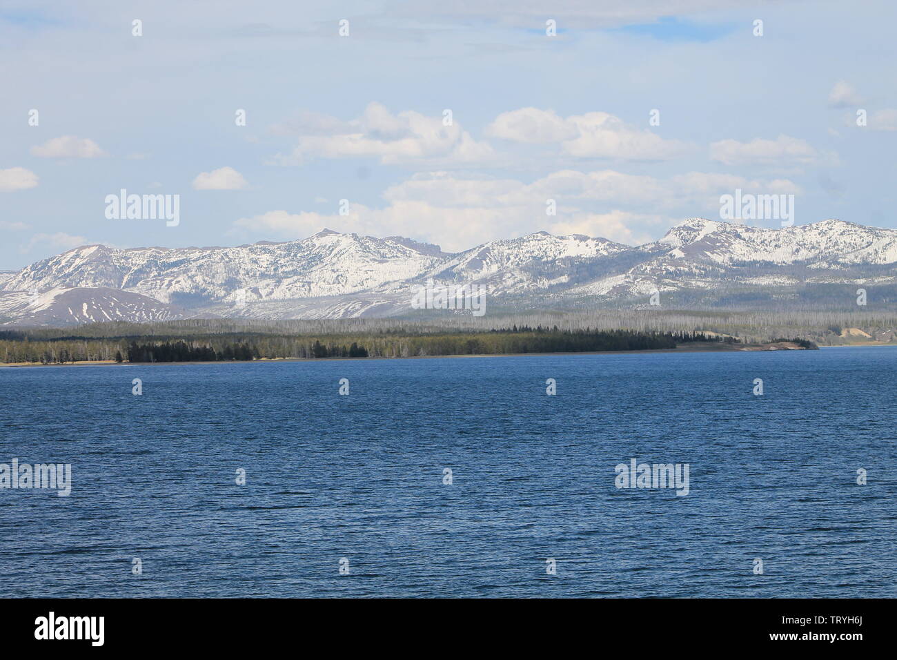 Yellowstone Road High Resolution Stock Photography and Images - Alamy
