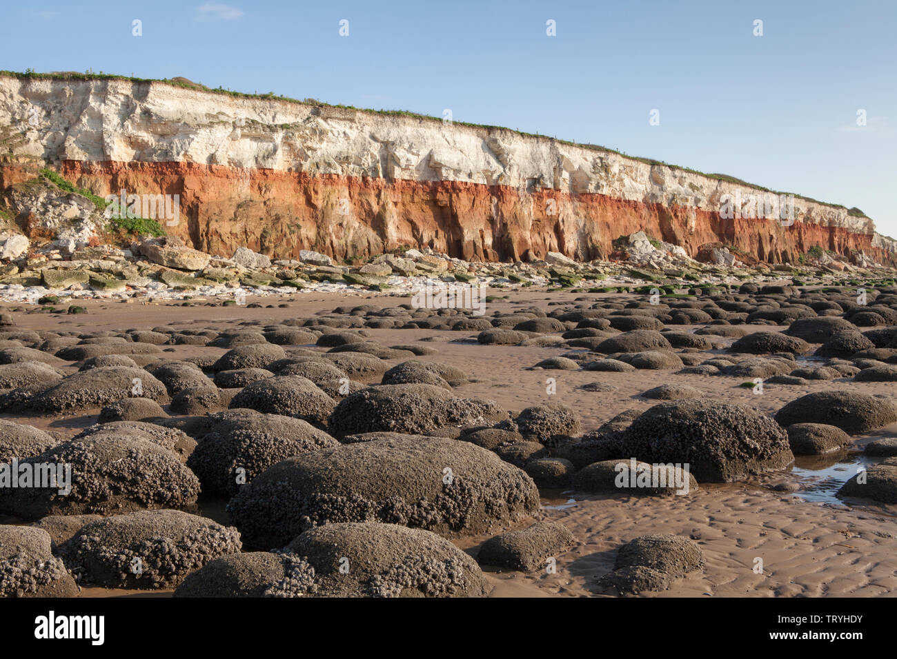 Biological erosion hi-res stock photography and images - Alamy
