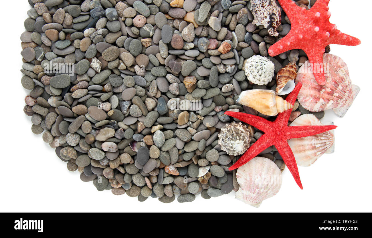 Small sea stones and shells, isolated on white Stock Photo - Alamy