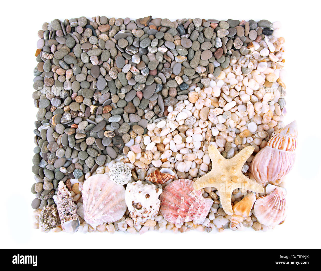 Small sea stones and shells, isolated on white Stock Photo - Alamy