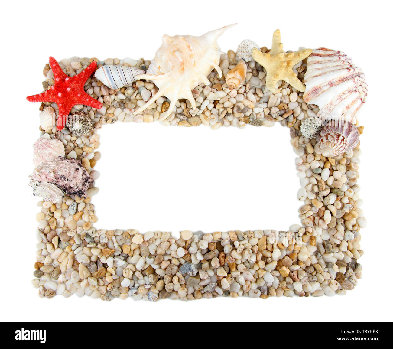 Round frame sea shells Cut Out Stock Images & Pictures - Alamy