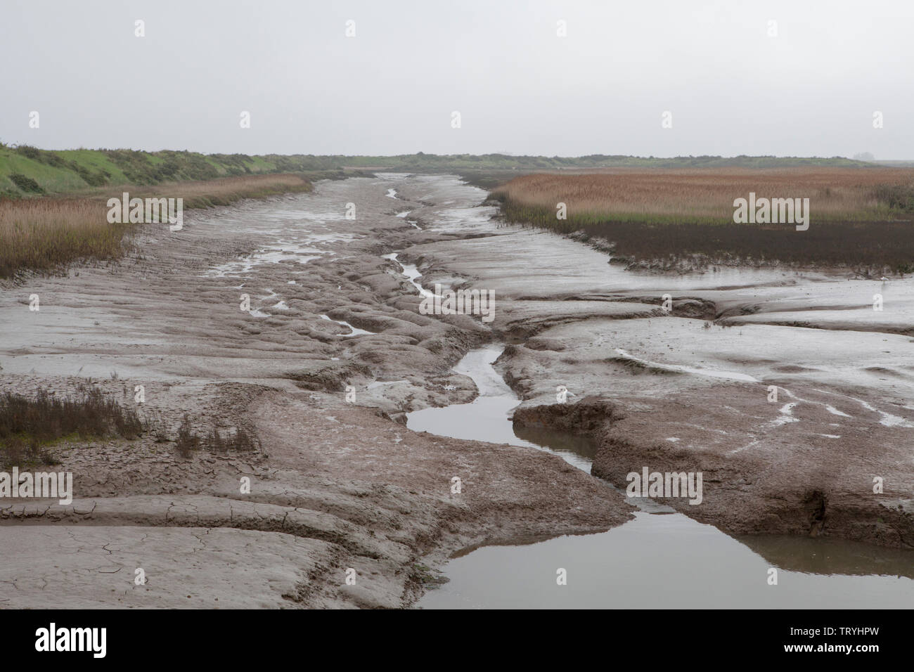 Tidal saltwater marsh hi-res stock photography and images - Alamy