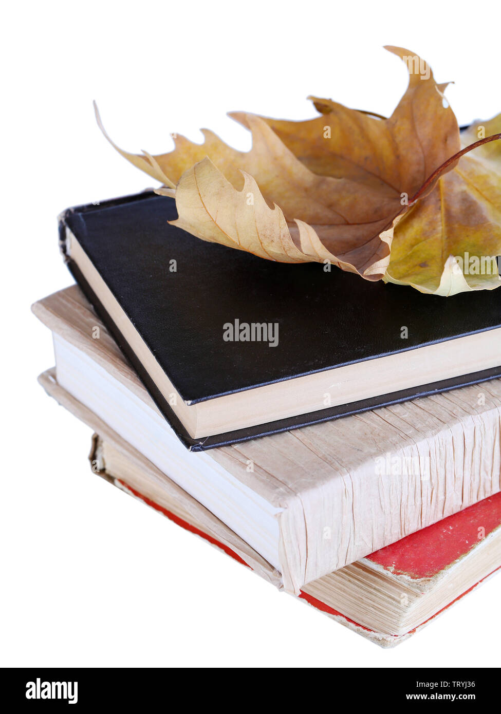 Books and autumn leaf isolated on white Stock Photo - Alamy