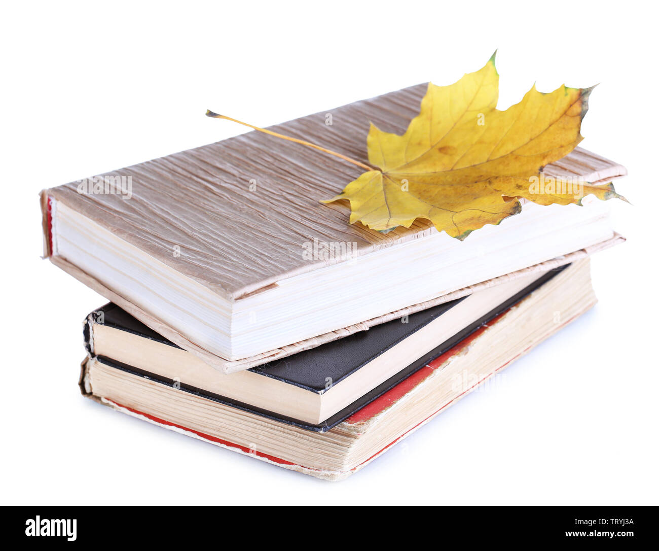 Books and autumn leaf isolated on white Stock Photo - Alamy