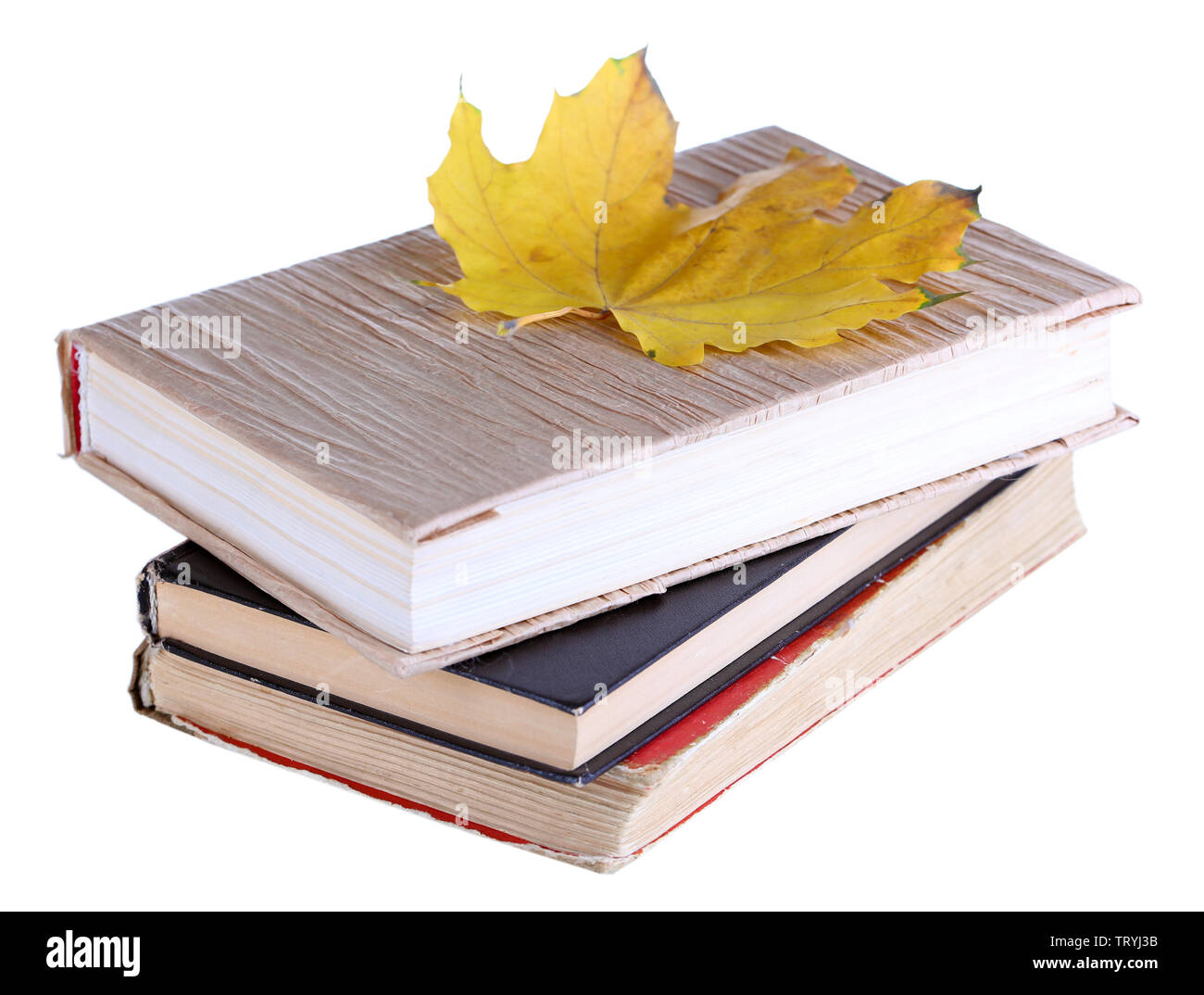 Books and autumn leaf isolated on white Stock Photo - Alamy