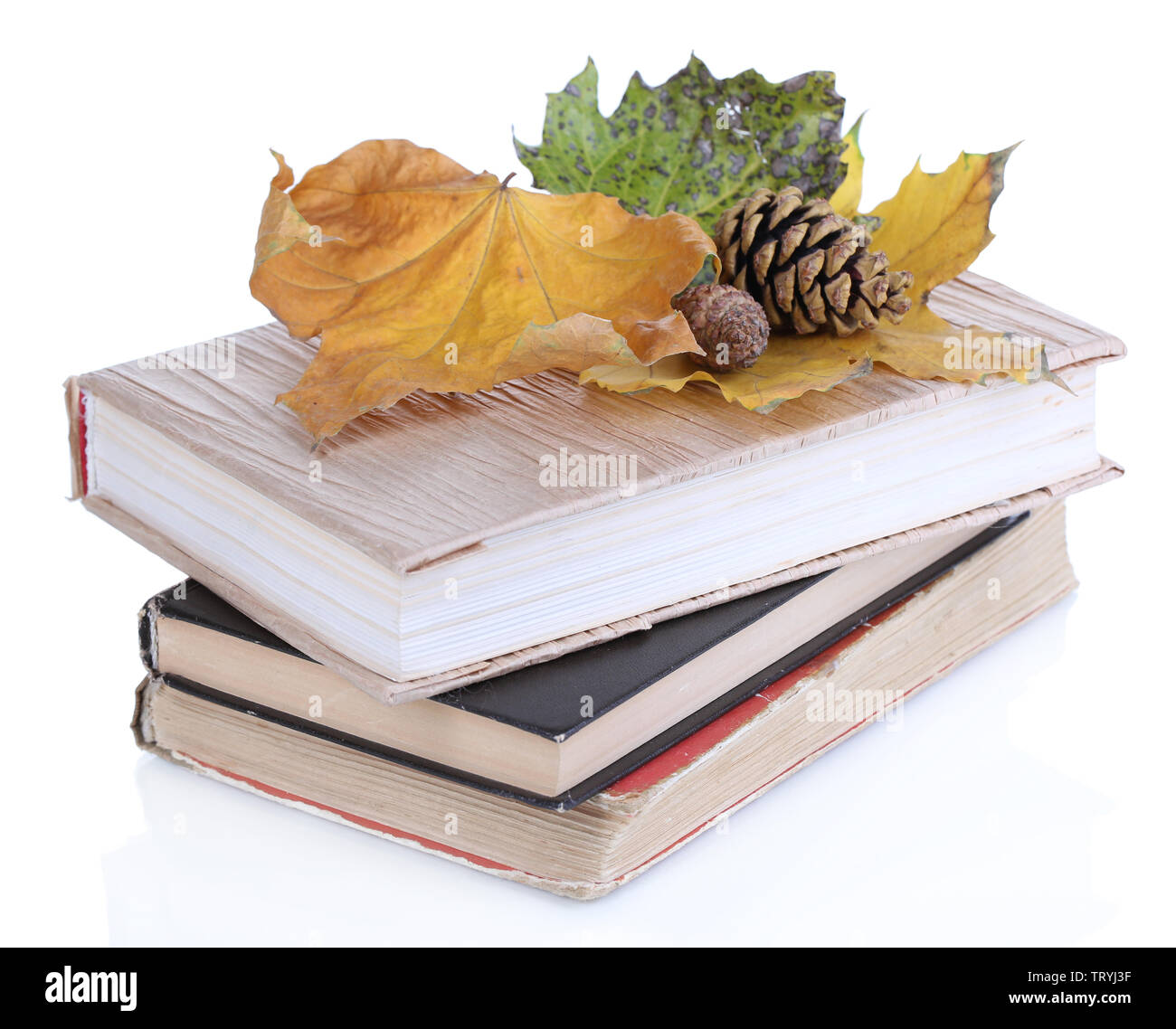 Books with leaves isolated on white hi-res stock photography and images ...