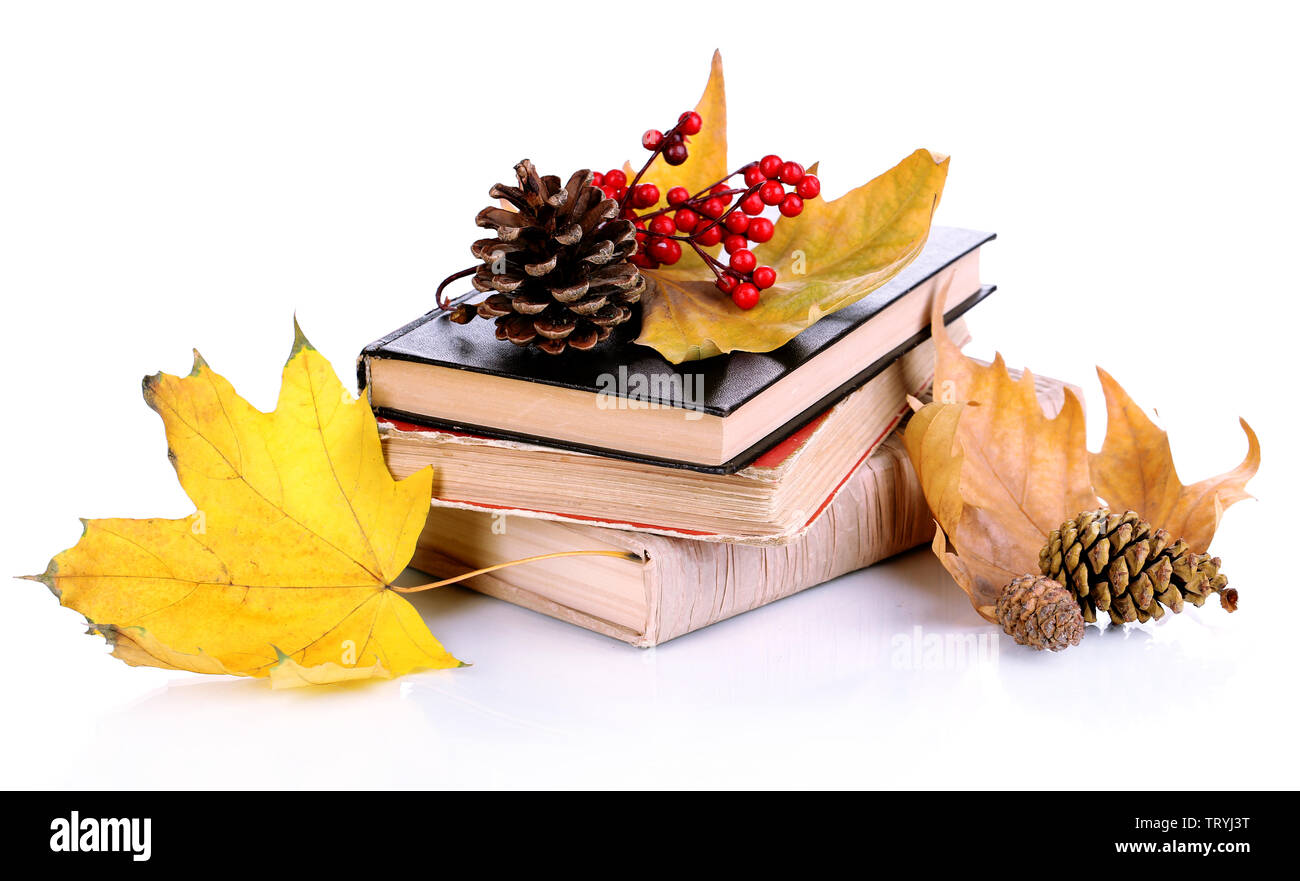Books and autumn leaves isolated on white Stock Photo - Alamy