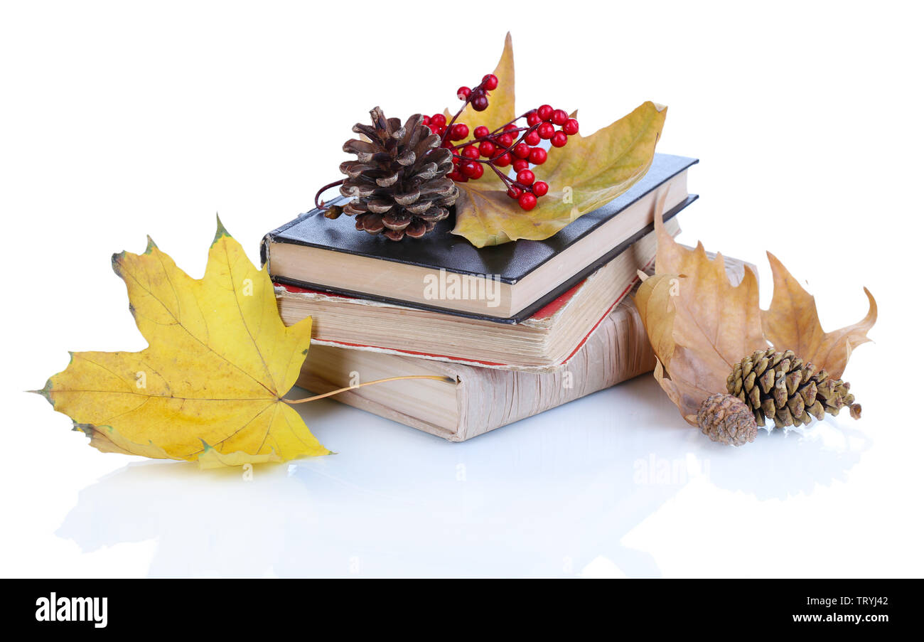 Books and autumn leaves isolated on white Stock Photo - Alamy