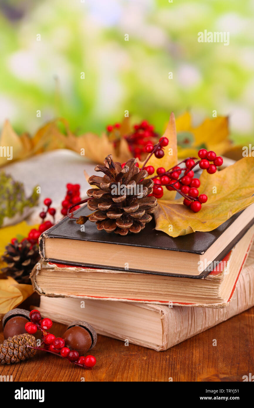 Books and autumn leaves on wooden table on natural background Stock ...