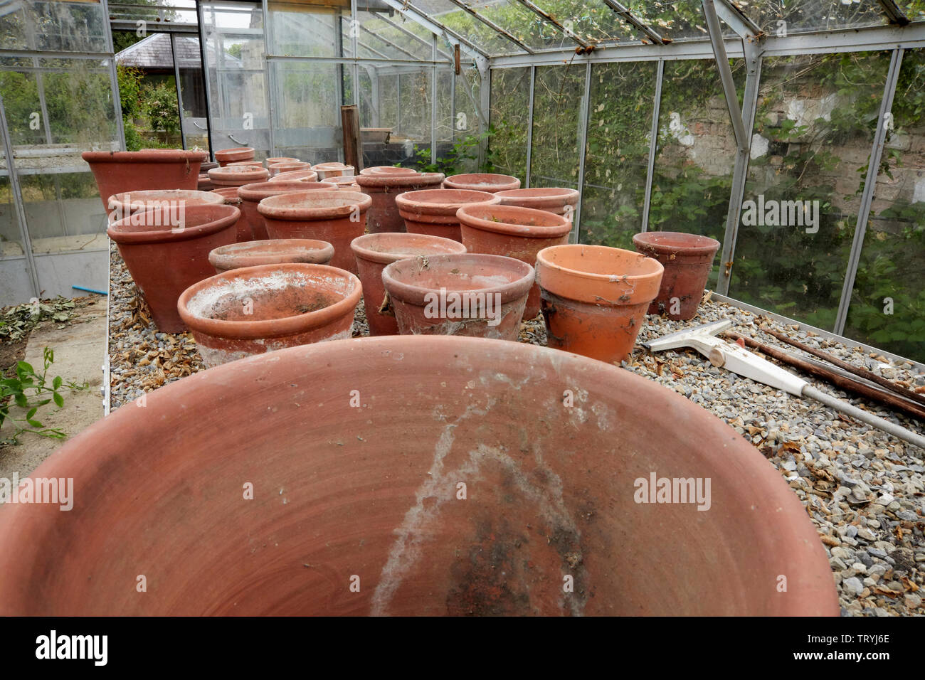 Collecting flower pots ready for springtime planting on amateur ...