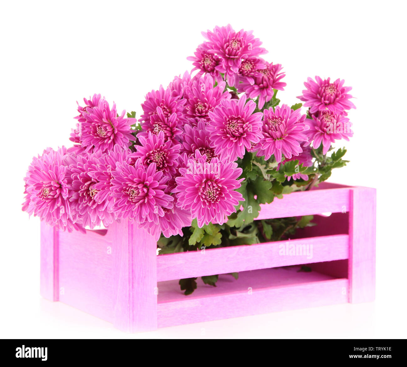 Pink wooden crate bouquet hi-res stock photography and images - Alamy