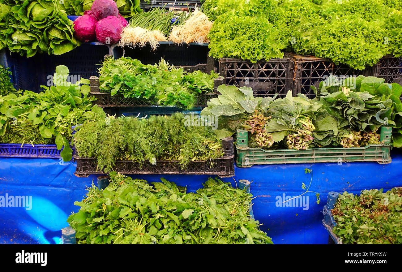 Healthy and Fresh Vegetable Green Vegetables in a Bazaar Stock Photo ...