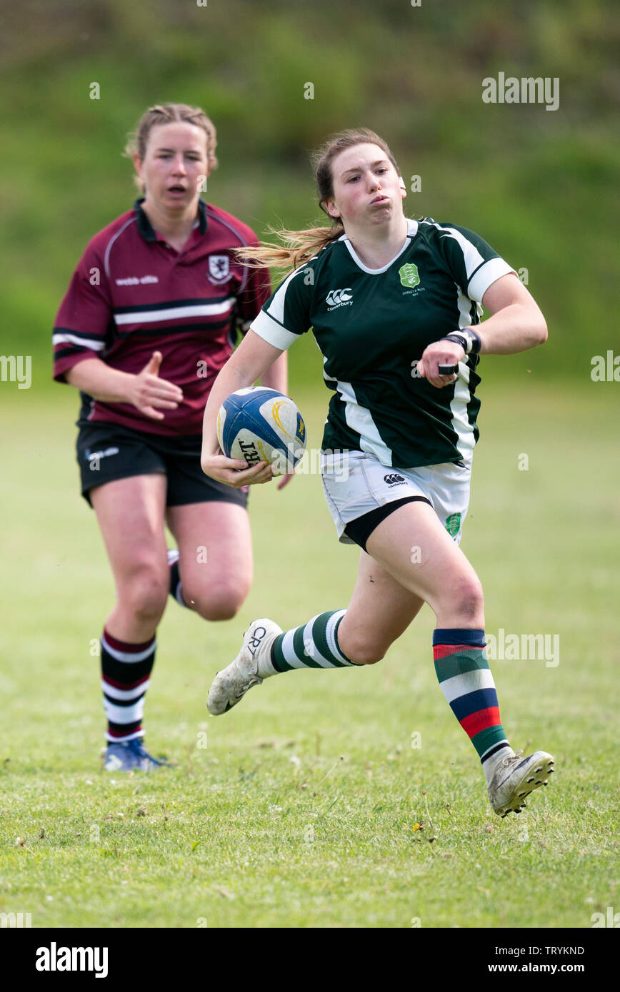 Somerset rfu hi-res stock photography and images - Alamy