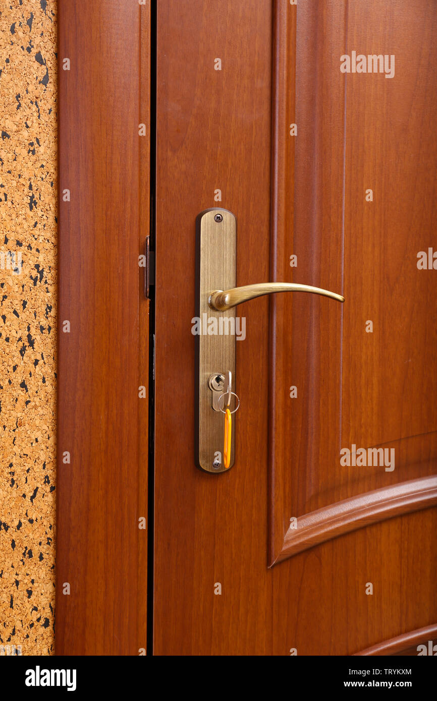Close up entry door luxury hi-res stock photography and images - Alamy