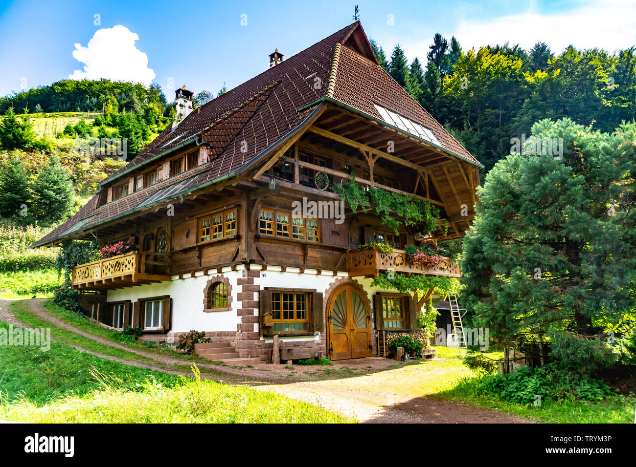 Traditional House in Black Forest in Baden Wuerttemberg in germany ...