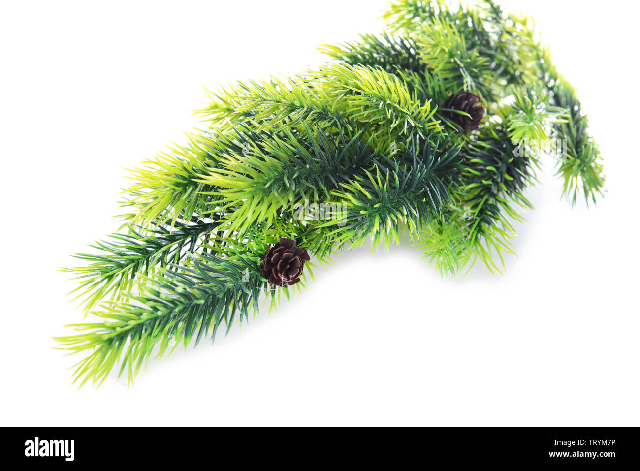 Christmas tree branch isolated on white Stock Photo - Alamy
