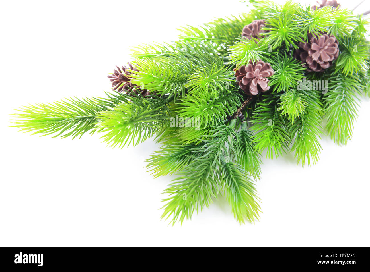 Christmas tree branch isolated on white Stock Photo - Alamy