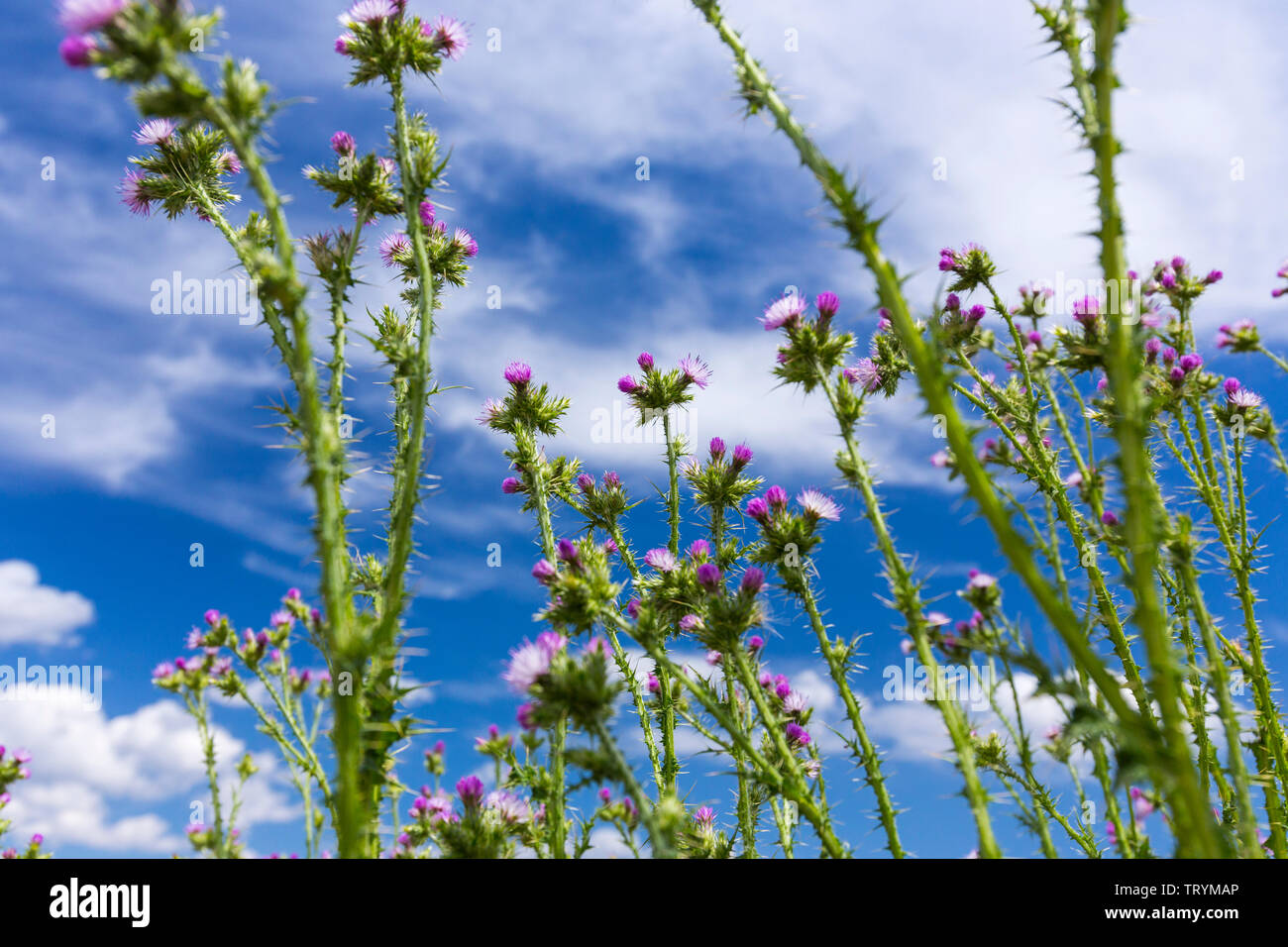 Valley of ambroz hi-res stock photography and images - Alamy