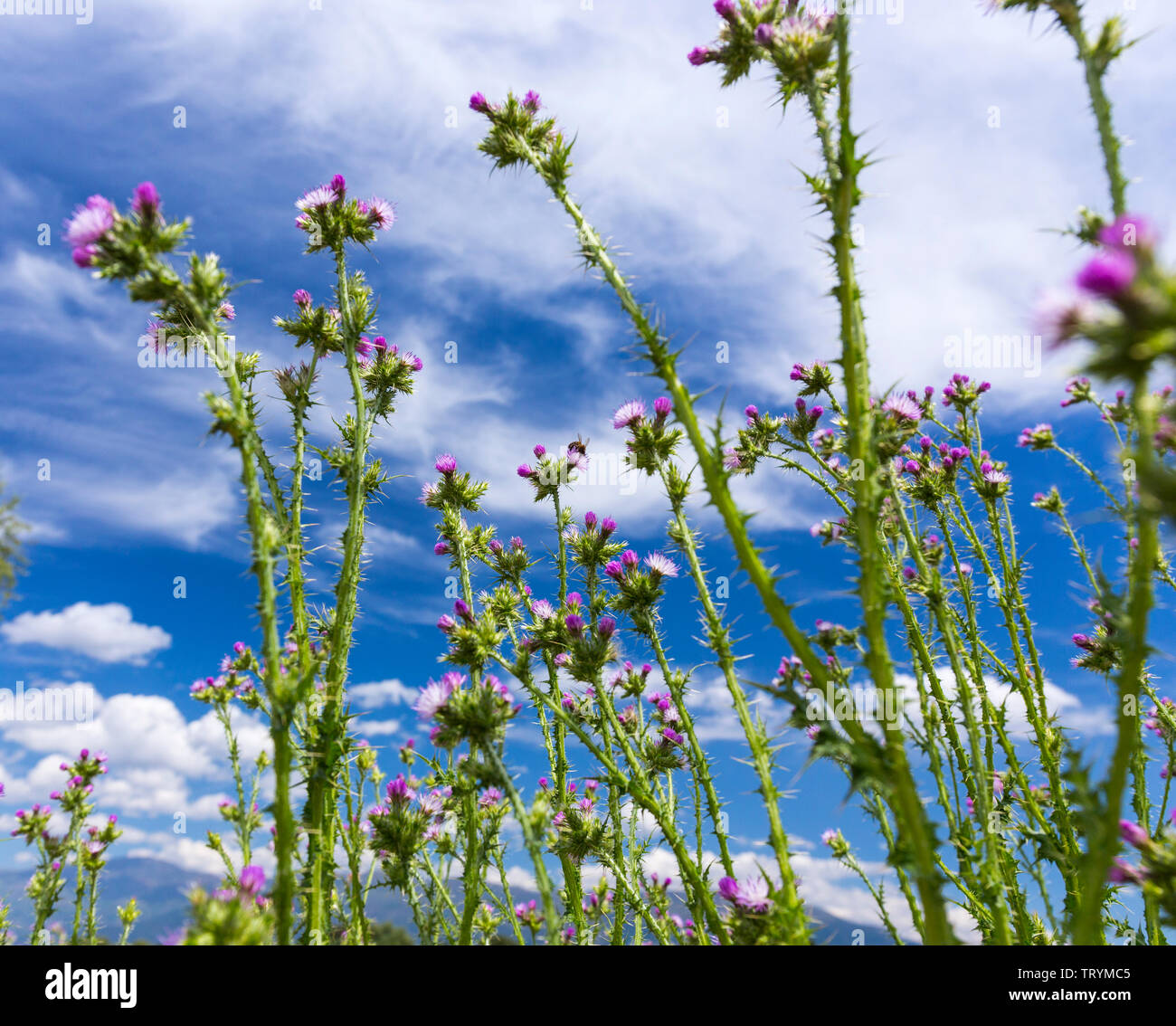 Valley of ambroz hi-res stock photography and images - Alamy