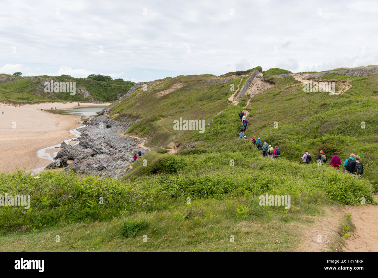 Group of walkers hiking along the Pembrokeshire coast path at Broad ...