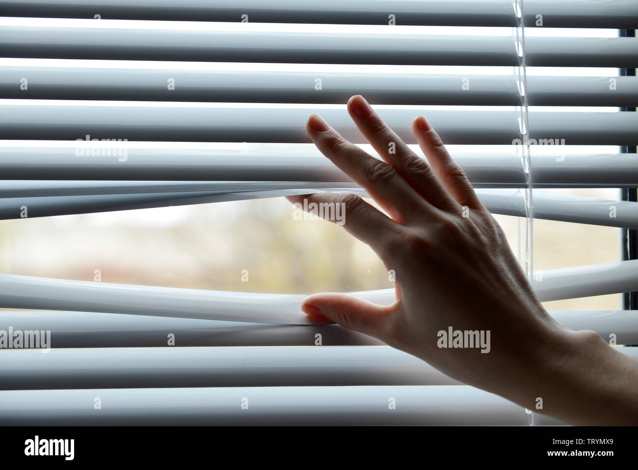 Female hand separating slats of venetian blinds with a finger to see ...