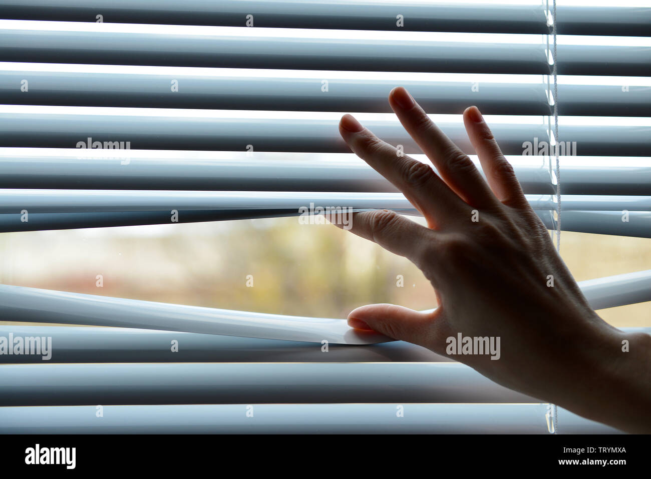 Female hand separating slats of venetian blinds with a finger to see ...