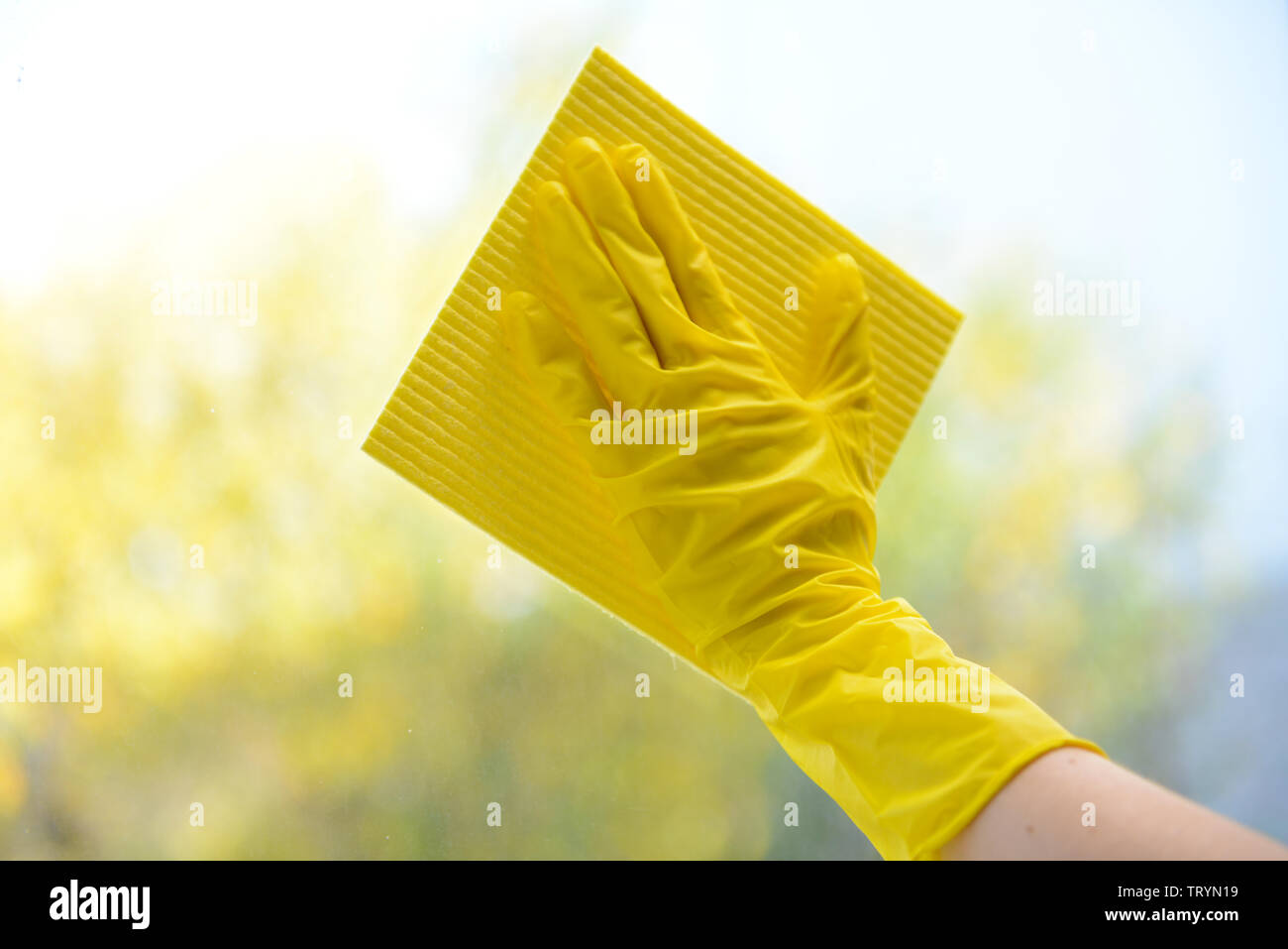Hands with napkin cleaning window Stock Photo - Alamy