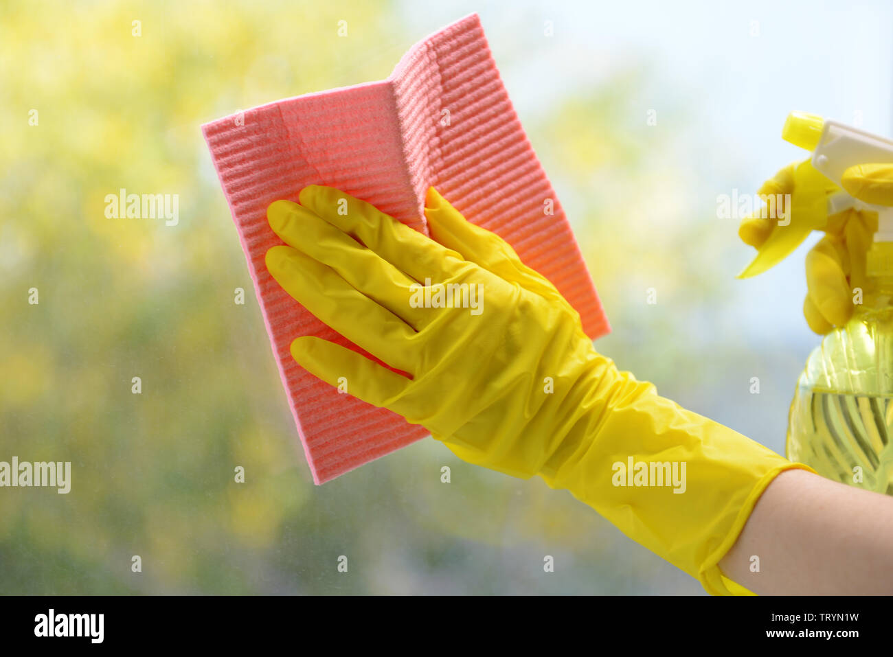 Hands with spray cleaning the window Stock Photo - Alamy