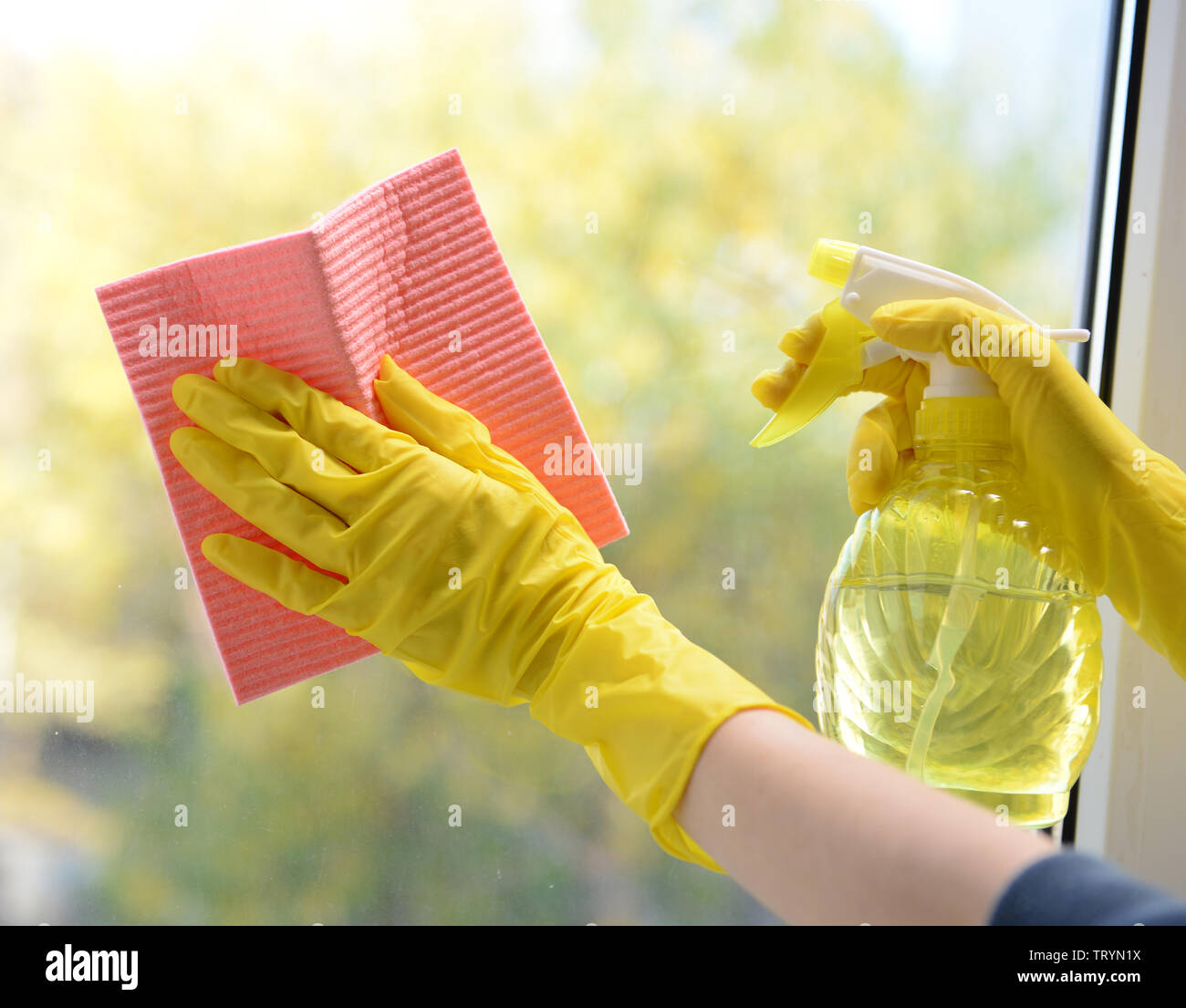 Hands with spray cleaning the window Stock Photo - Alamy