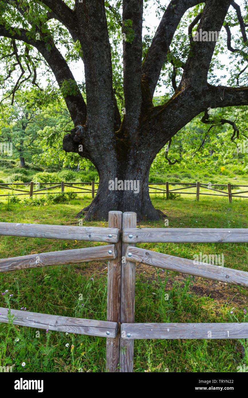 Traditional pyrenean architecture hi-res stock photography and images ...