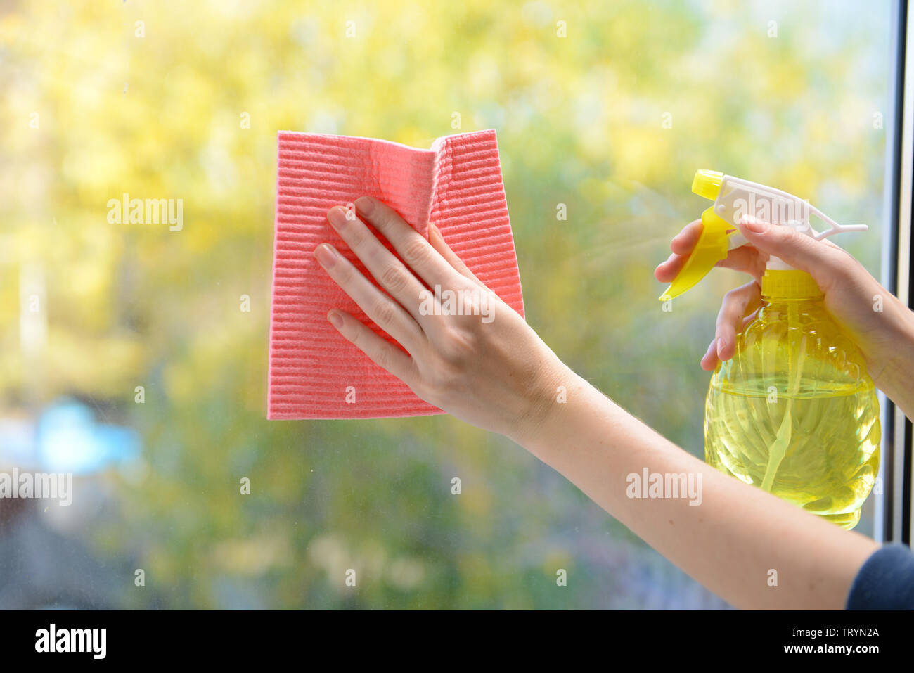Hands with spray cleaning the window Stock Photo - Alamy