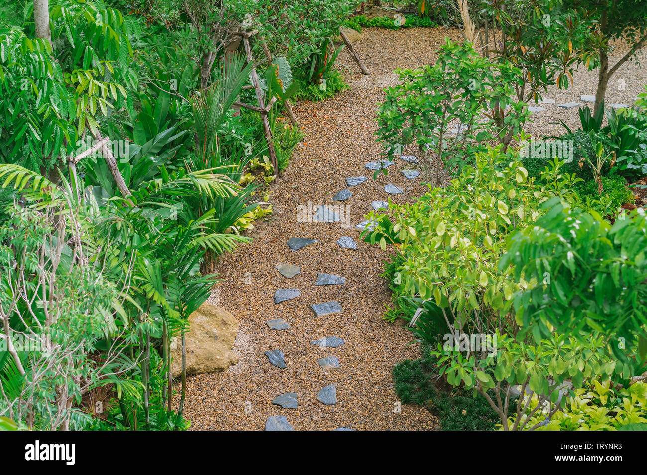 Top view of walkway in the garden and green shrub beside pathway.Garden ...