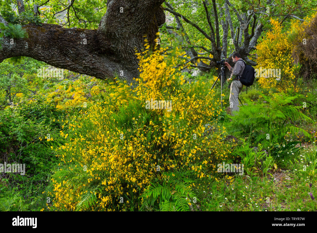 Valley of ambroz hi-res stock photography and images - Alamy
