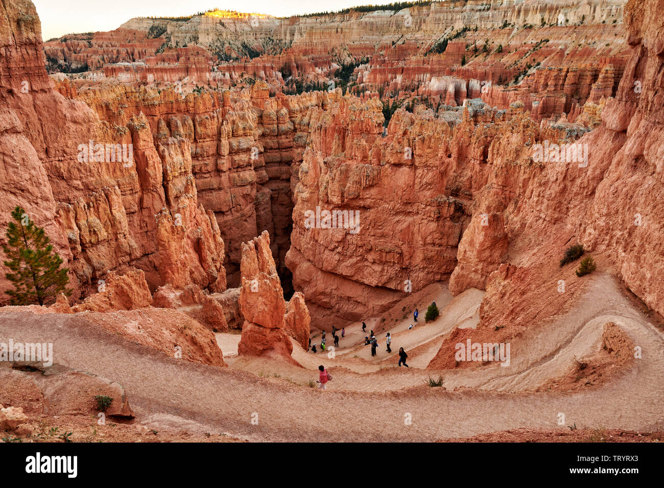 Navajo loop bryce canyon tourist hi-res stock photography and images ...