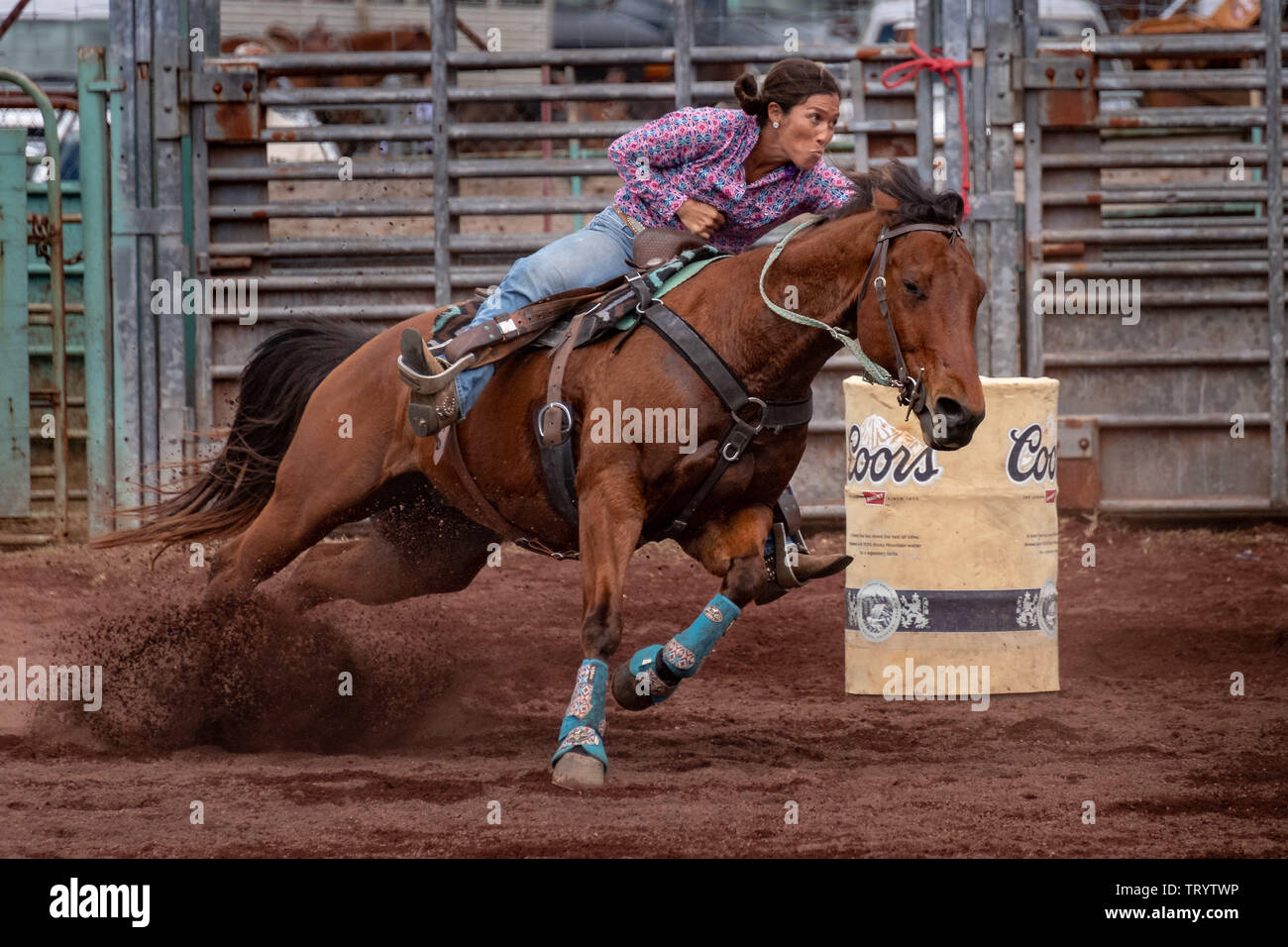 Cowgirls barrel racing hi-res stock photography and images - Alamy