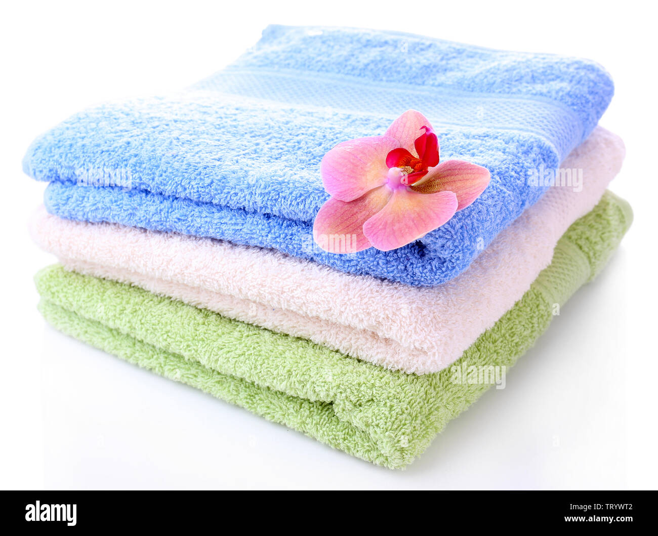 Pink blue yellow orchid flower Cut Out Stock Images & Pictures - Alamy