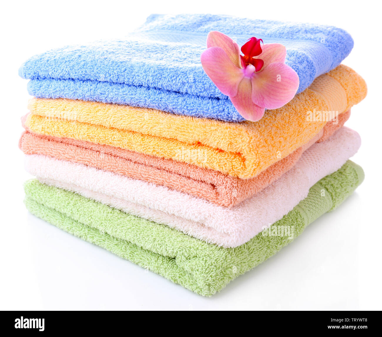 Pink blue yellow orchid flower Cut Out Stock Images & Pictures - Alamy