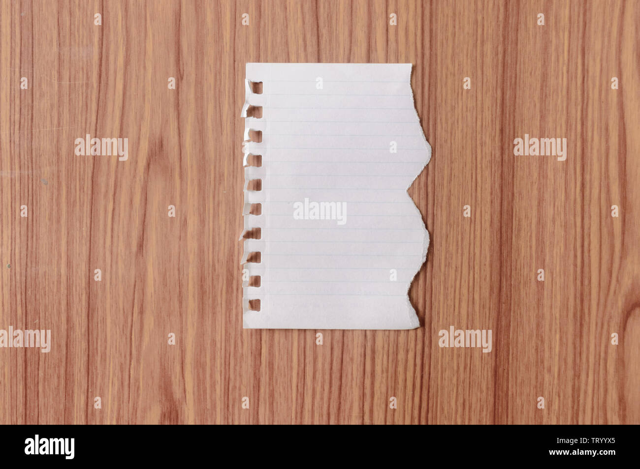 Sheet of notebook paper with torn edge blank ripped piece on isolated ...