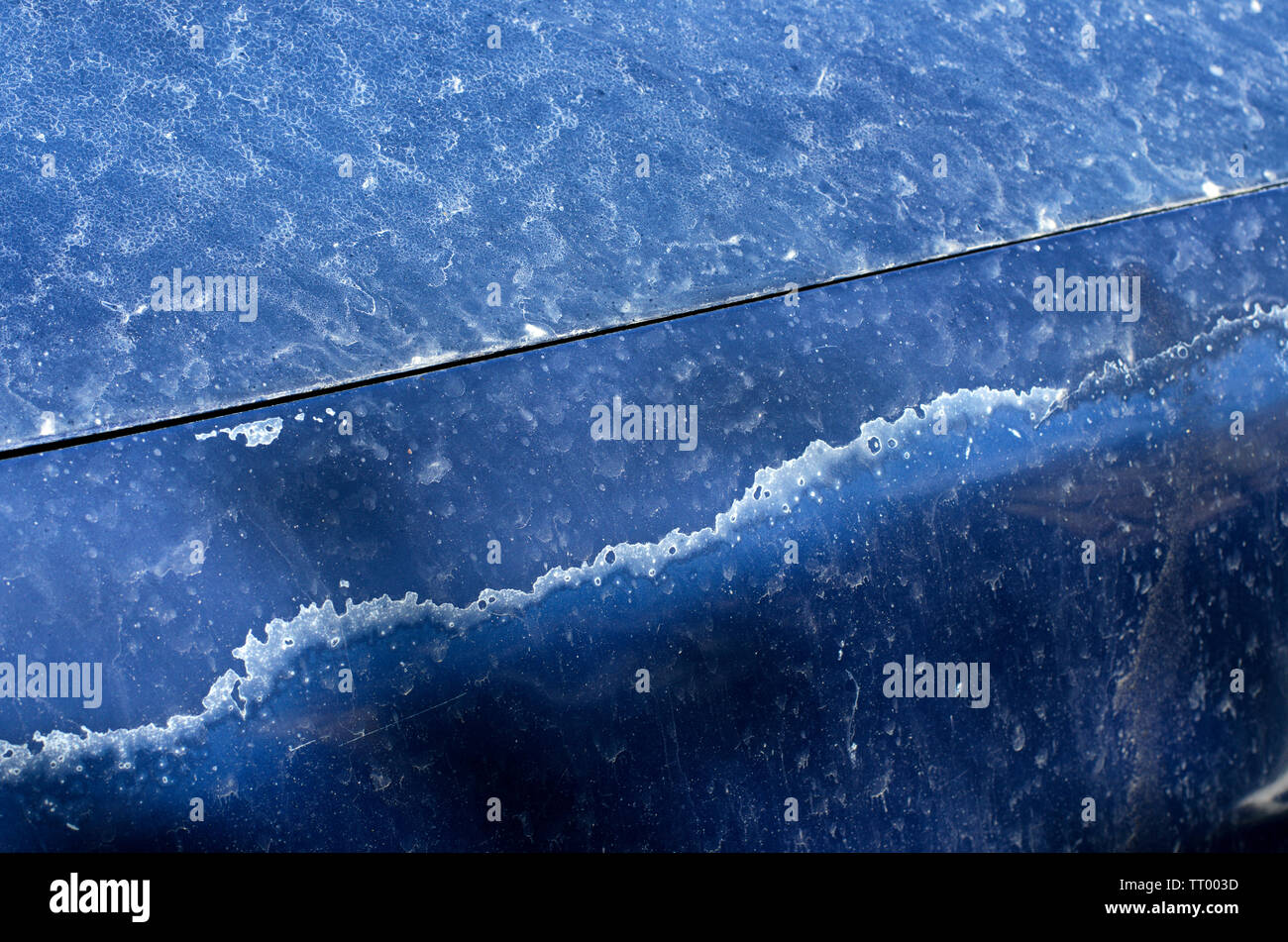 The hood of the car is exposed to salt corrosion with a white patina ...