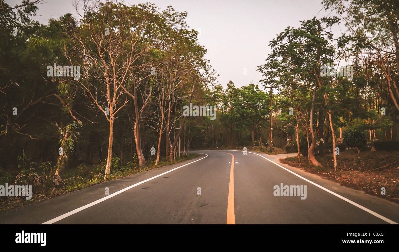 asphalt road turn left among forest to top of mountain travel road trip ...