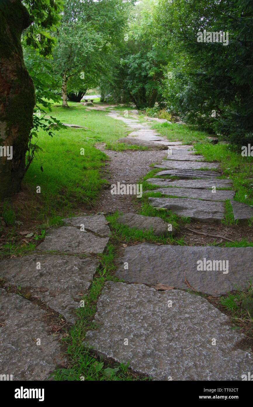 Flagstone Path by the River Dart at Badgers Holt, Dartmoor National ...