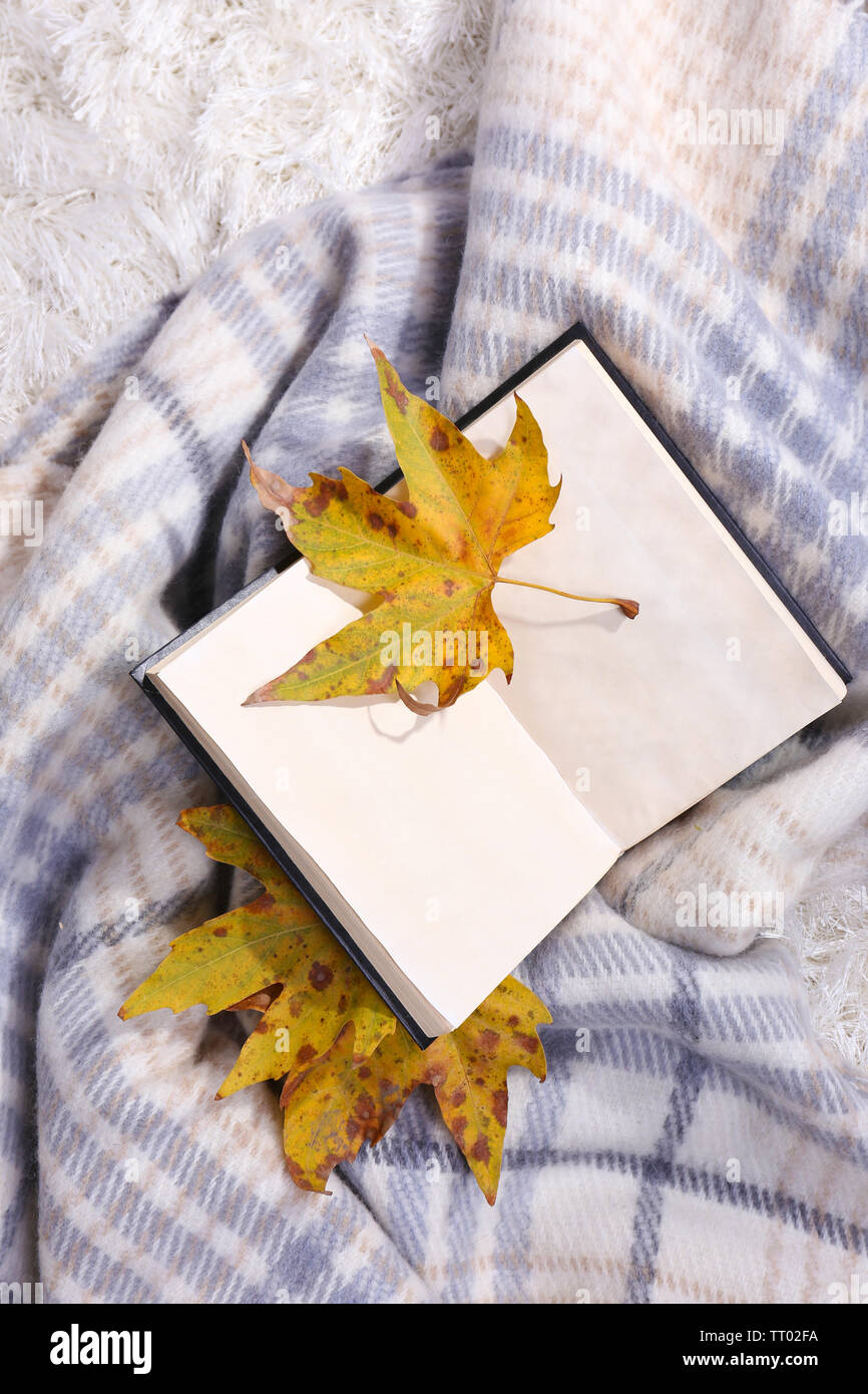 Composition with warm plaid, book, on color carpet background Stock ...
