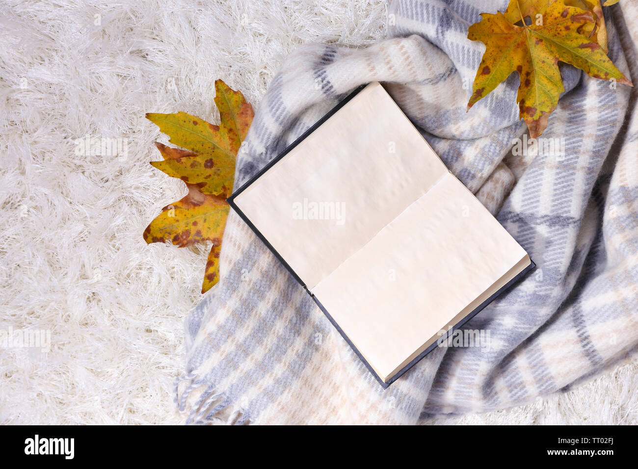 Composition with warm plaid, book, on color carpet background Stock ...